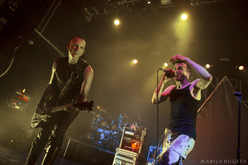 Interview with Matthew Setzer: All you ever wanted to know and then ...